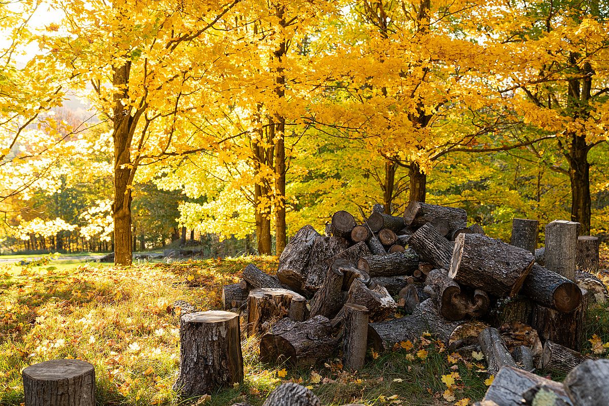 Heating with Wood and Building a Better Fire - Cold Hollow to Canada